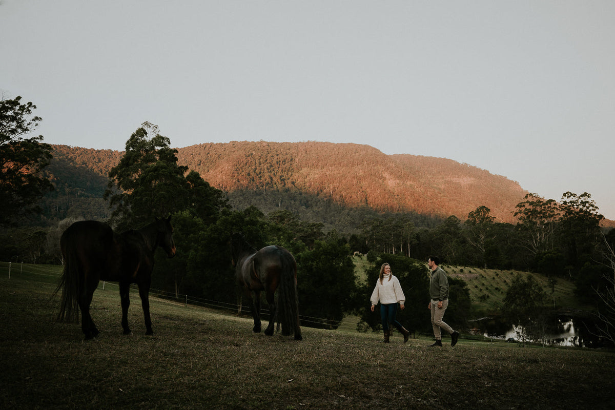 Rooted in the Earth – Bush Harvest Co